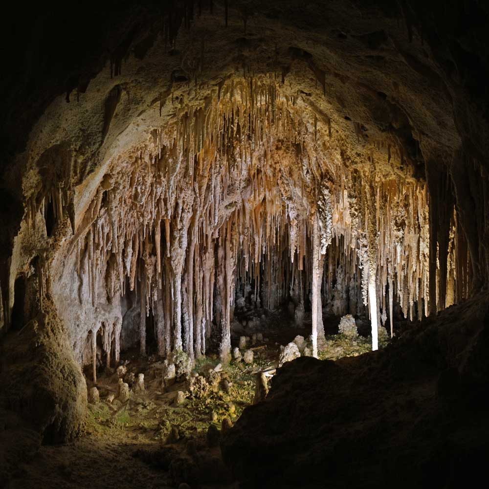Best Things to Do in Carlsbad Caverns - 545travel.com