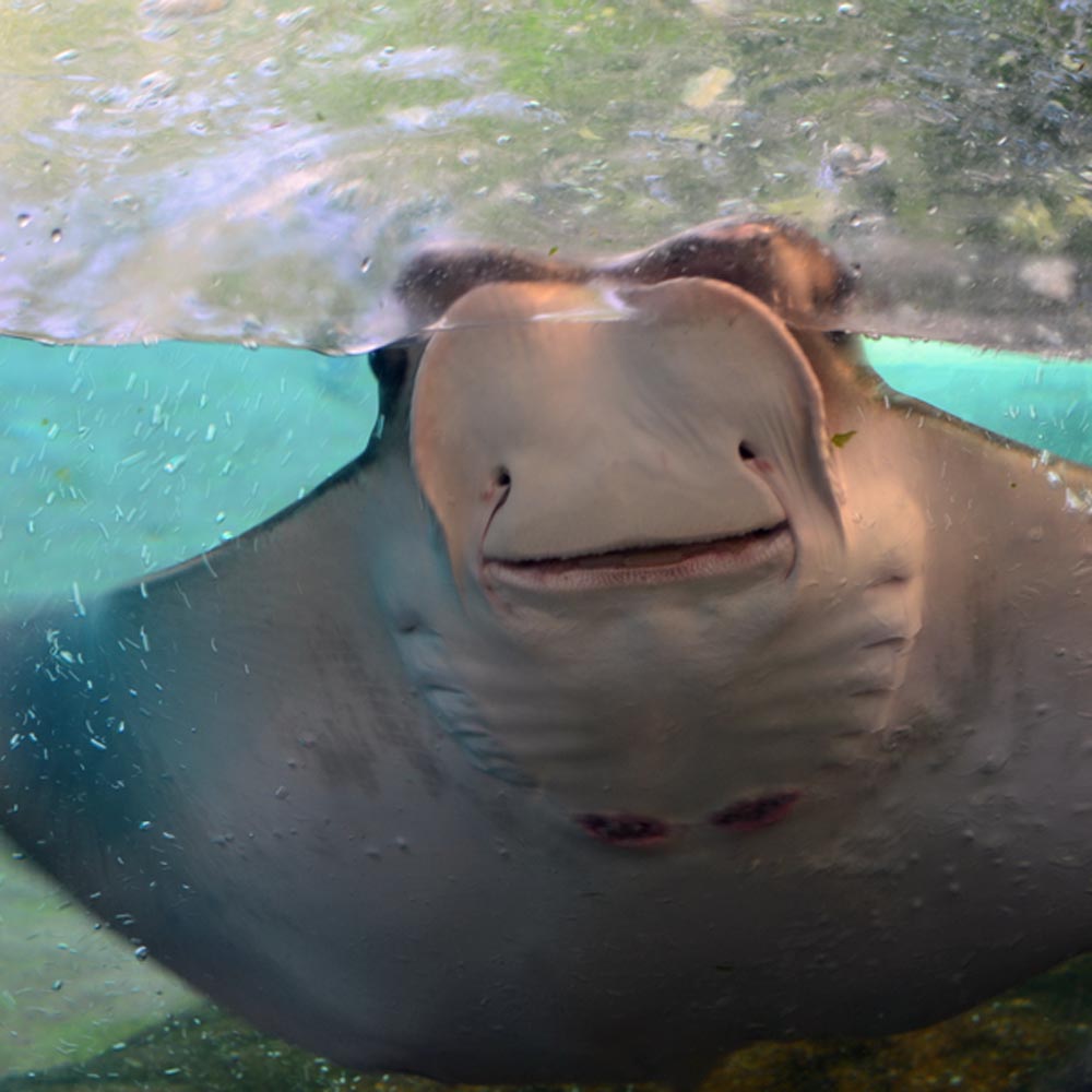 Best Things to Do in Columbus - 545travel.com