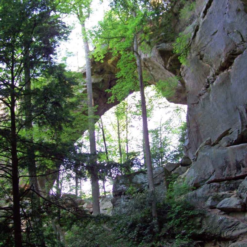 Best Things to Do in Red River Gorge - 545travel.com
