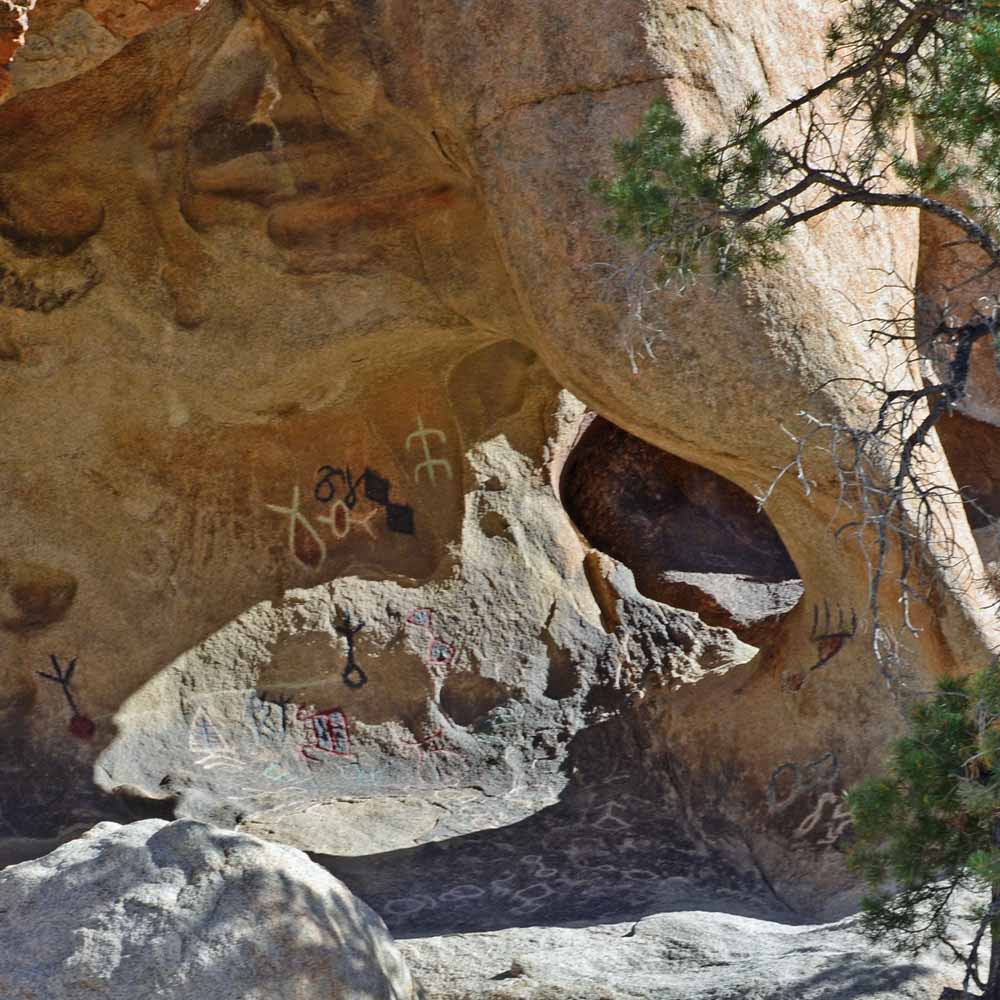 Best Things to Do in Joshua Tree - 545travel.com